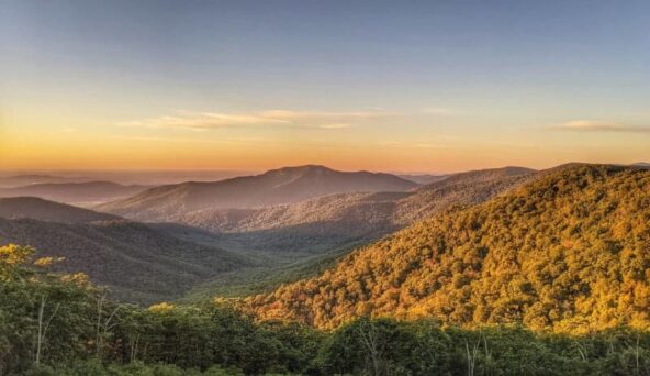 Regional Council | Go Virginia Region 8